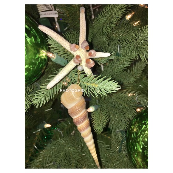 Holiday | Nwt Beach 7 Seashell Christmas Tree Ornament | Poshmark